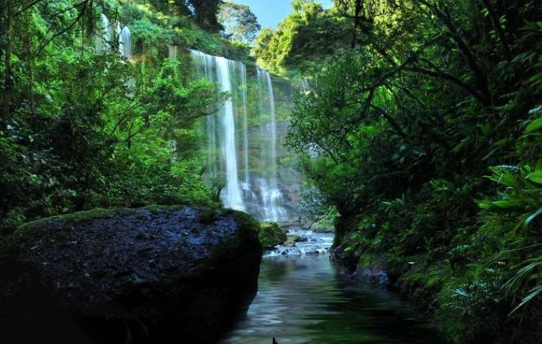 Viaja a la Selva Central y Explora la Naturaleza del Perú: Satipo